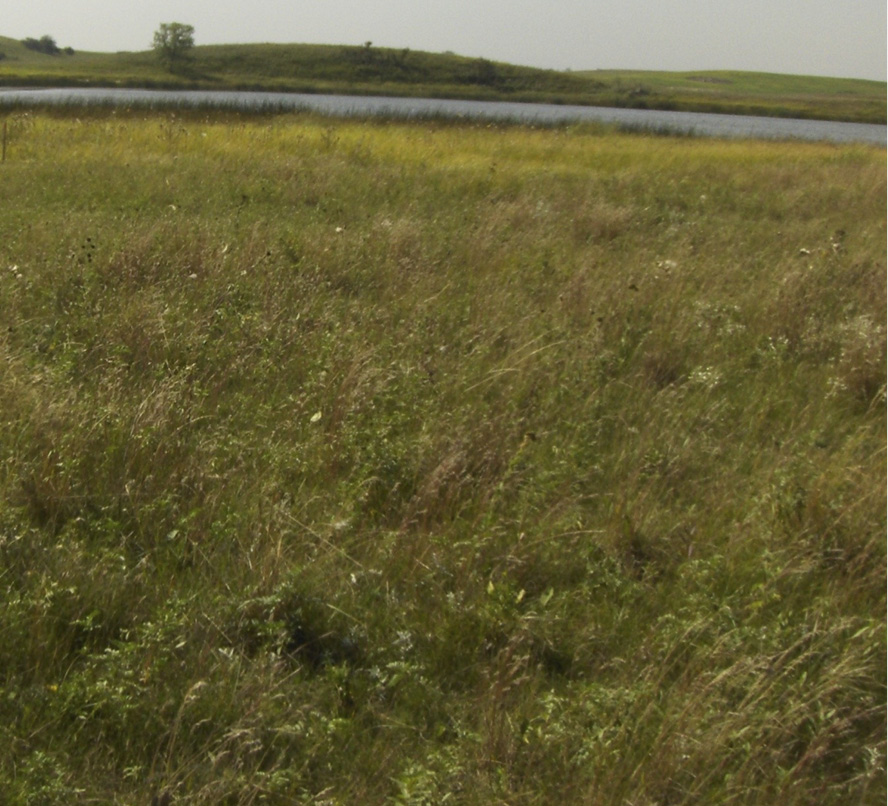 Ecological Sites of North Dakota | NDSU Agriculture